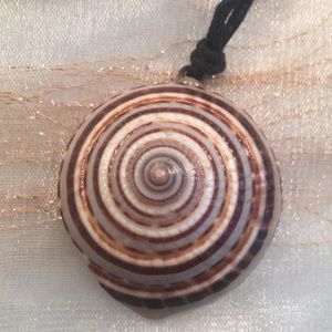 Jewelry | A Spiral Shell Necklace | Poshmark